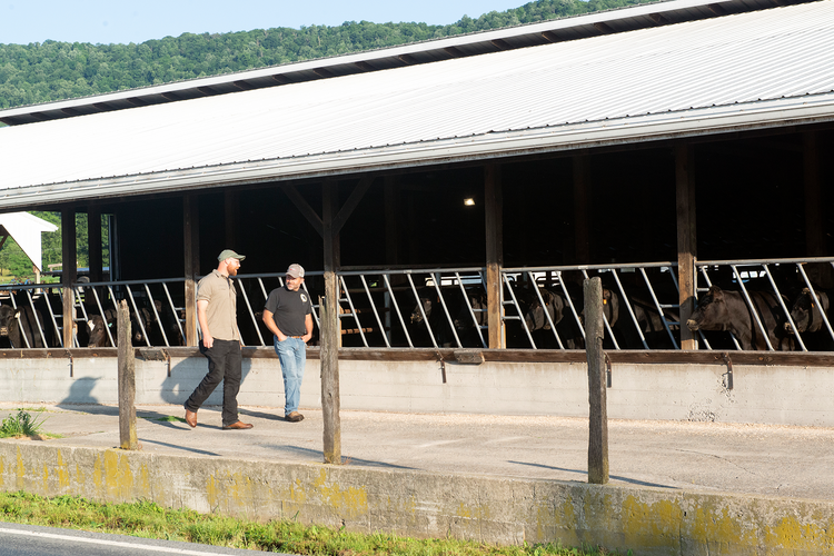 Shop Happy Valley Meat Company